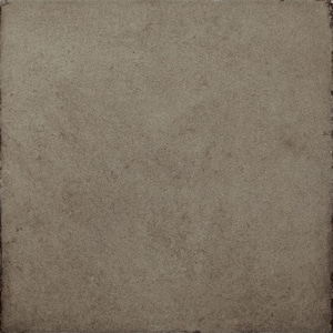 Daltile Wanderwise Roam 6 in. x 24 in. Matte Porcelain Floor and Wall ...