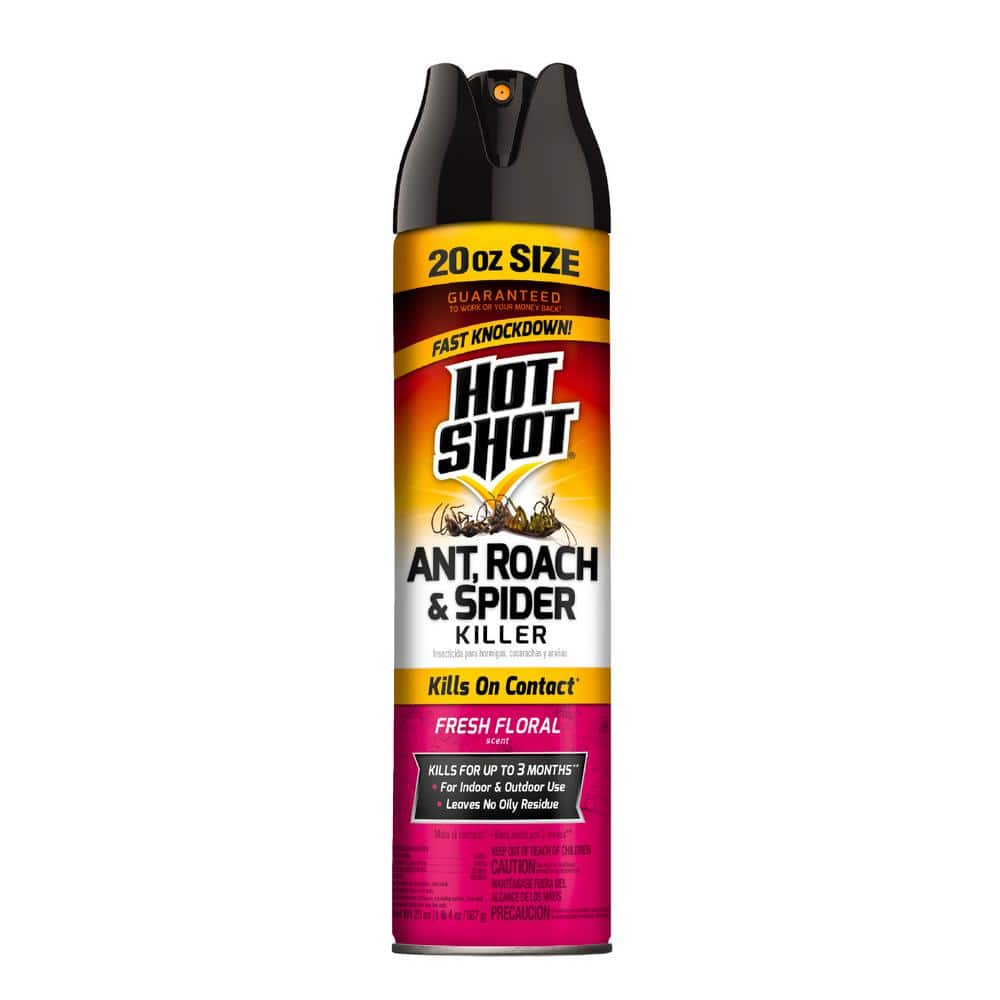 Hot Shot 20 oz. Ant, Roach, and Spider Insect Killer Aerosol Spray ...