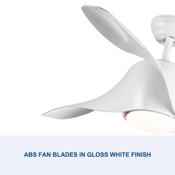 Qazqa Modern Ceiling Fan With Light And Remote Control | Shelly Lighting