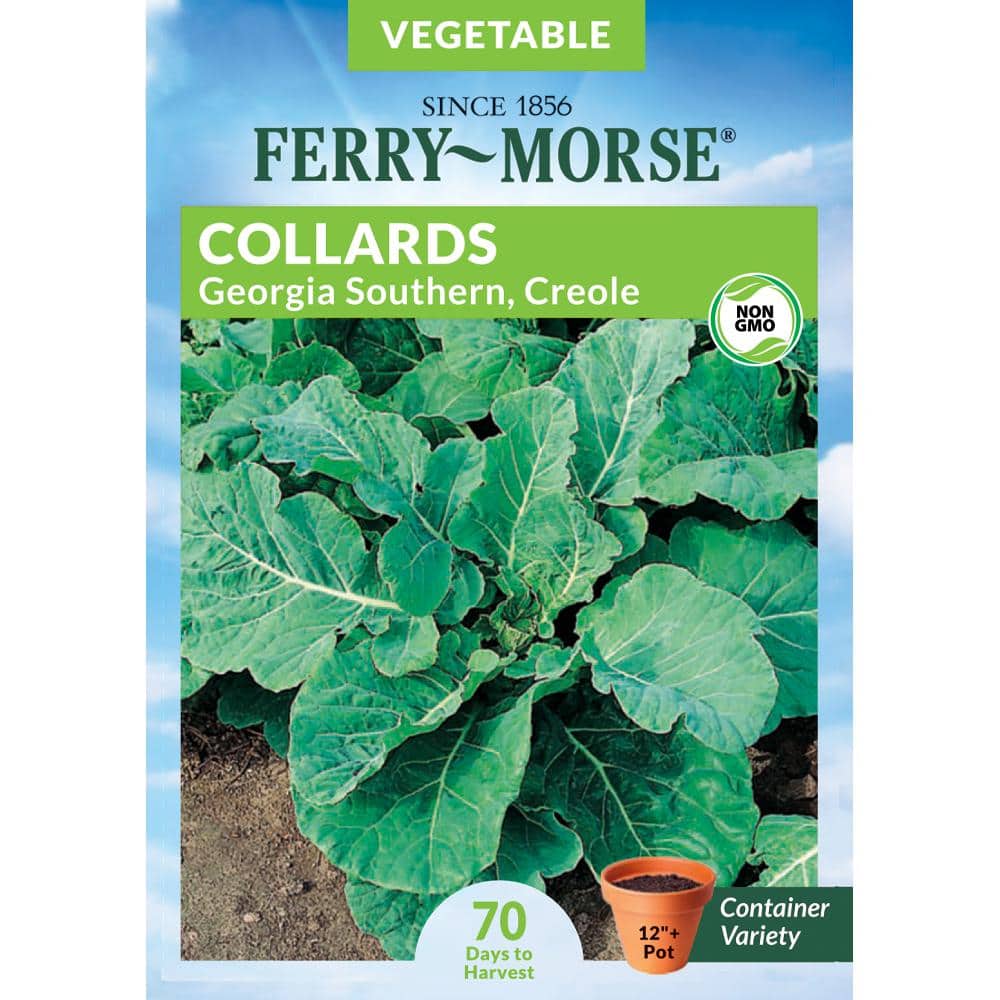 Ferry-Morse Collards Georgia Southern Creole Seed 7243 - The Home Depot