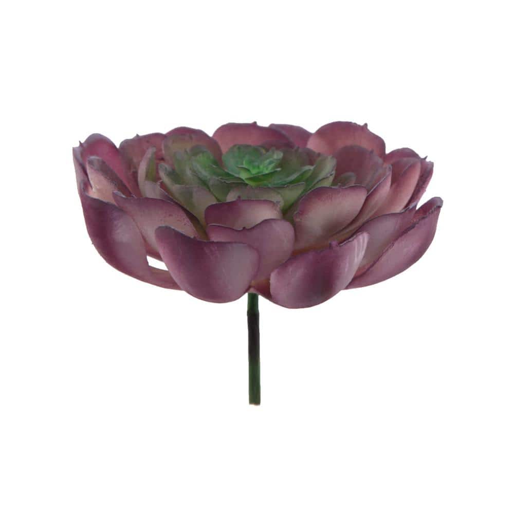 Flora Bunda Set of 6 Artificial Large Echeveria Powder Succulent Plant ...