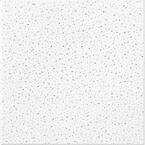 Armstrong CEILINGS Fine Fissured 1 ft. x 1 ft. Beveled Tongue and ...