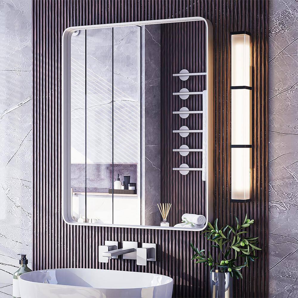 waterpar 22 in. W x 30 in. H Rectangular Aluminum Framed Wall Bathroom ...