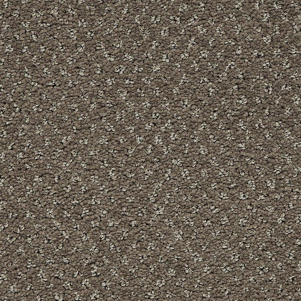 Lifeproof with Petproof Technology 8 in. x 8 in. Pattern Carpet Sample ...