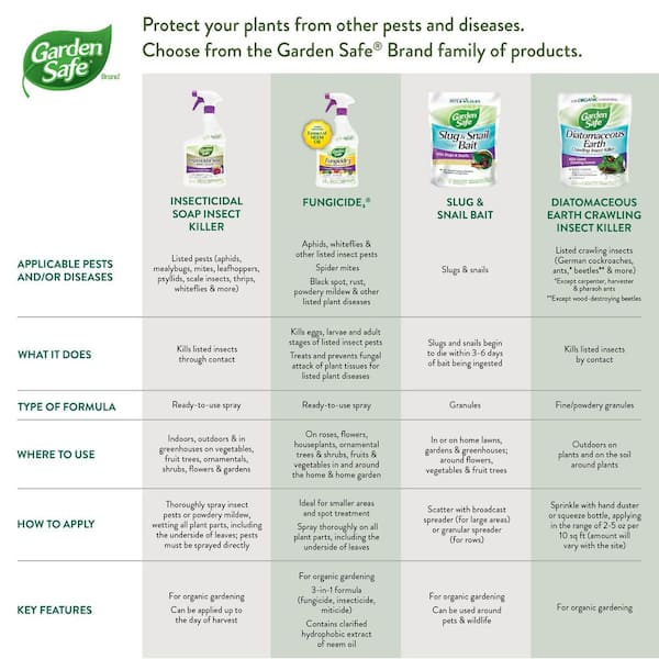 Insecticidal Soap Brand Names
