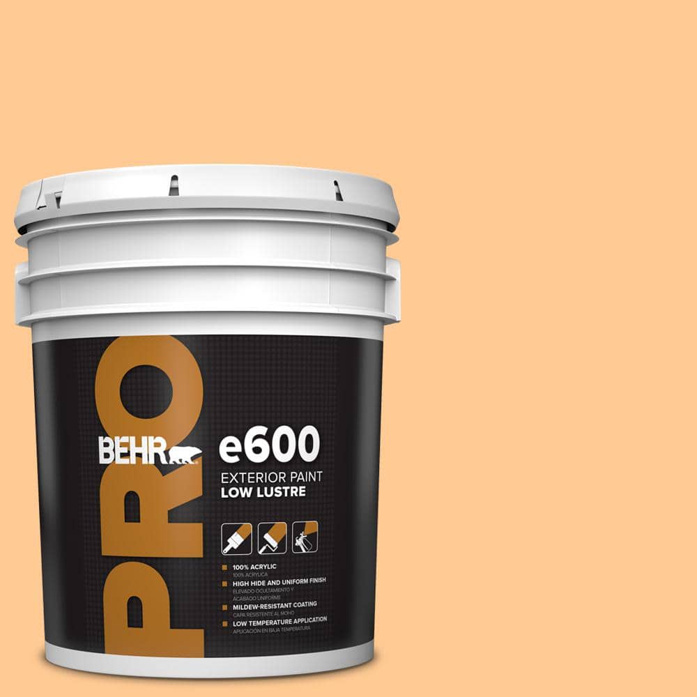BEHR PRO 5 gal. #280B-4 Apricot Light Low Luster Exterior Paint PR62005 ...