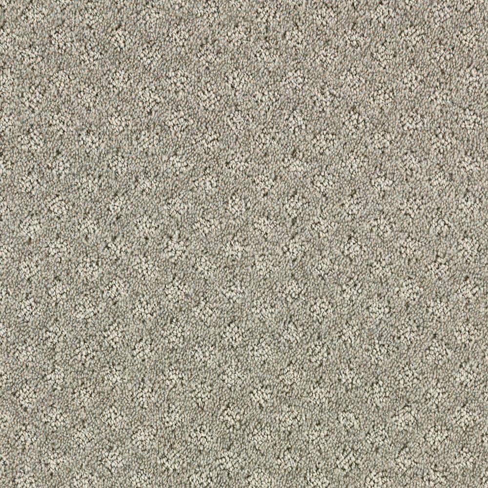 Lifeproof with Petproof Technology 8 in. x 8 in. Pattern Carpet Sample ...