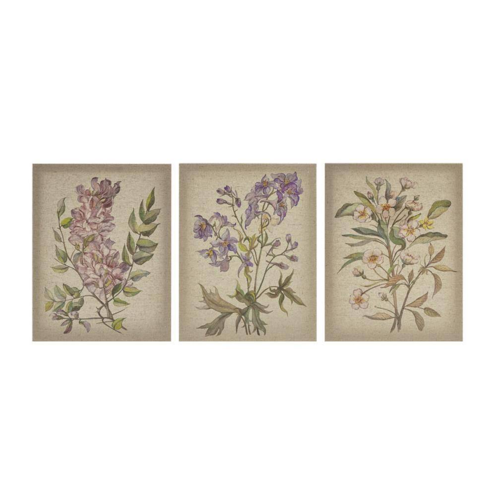 Miscool Anky 3-Piece Unframed Art Print 14 in. x 11 in. Illustration ...