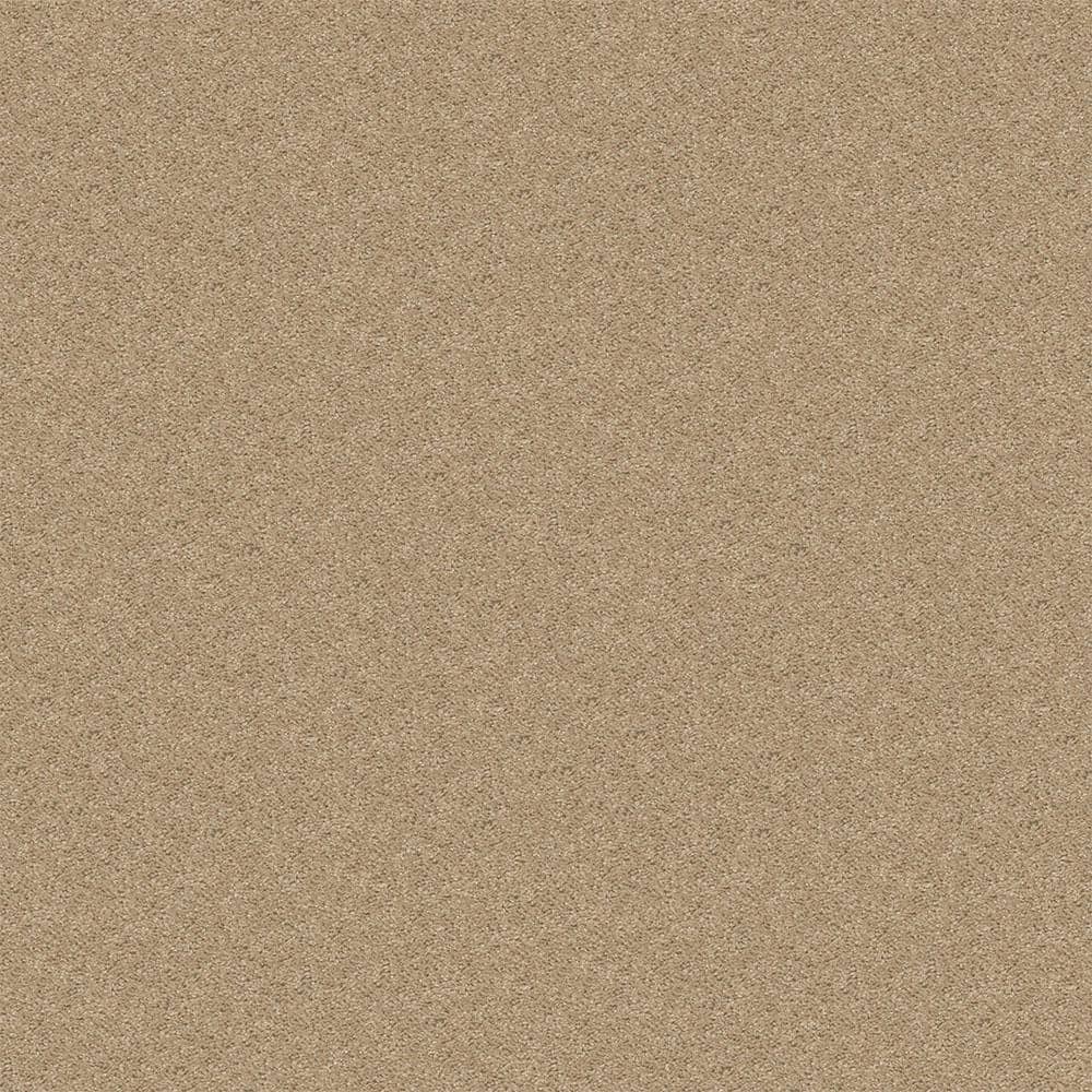 Reviews for TrafficMaster Alpine - Clarity - Beige 15 ft. 17.3 oz ...