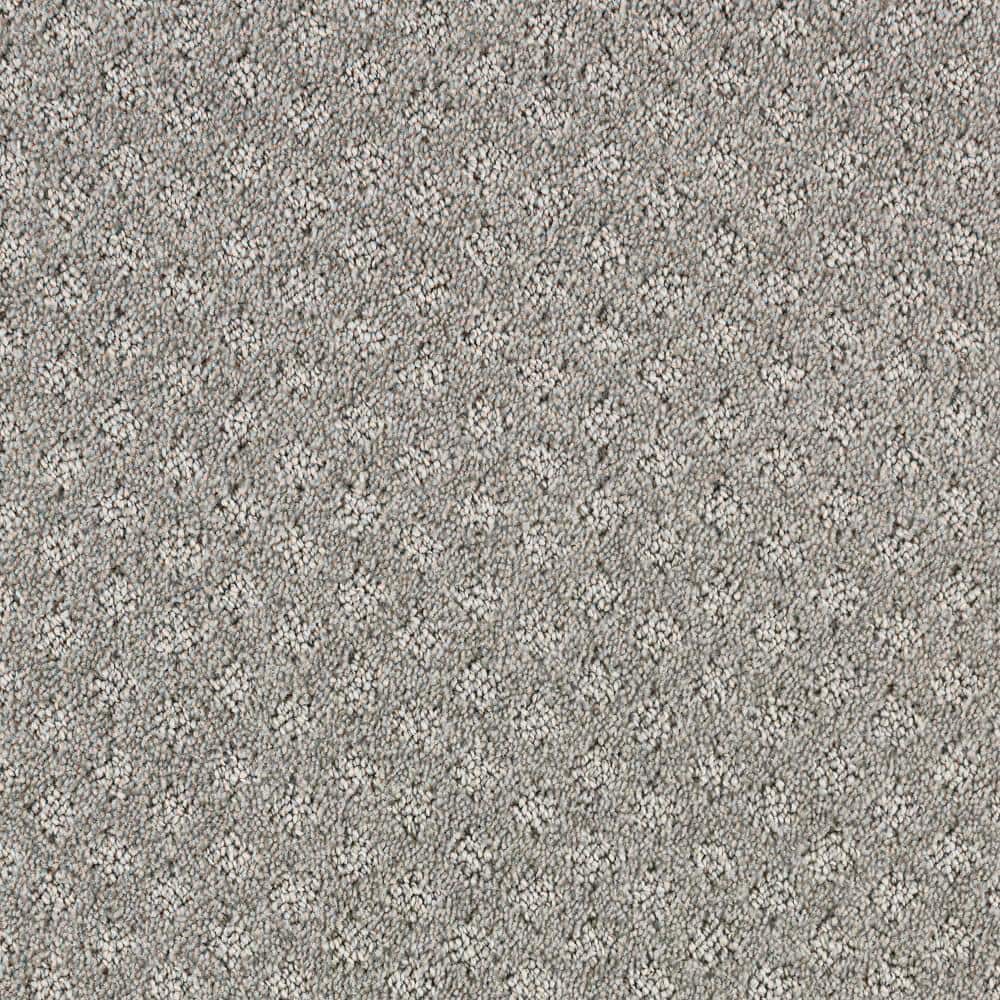 Lifeproof with Petproof Technology 8 in. x 8 in. Pattern Carpet Sample ...