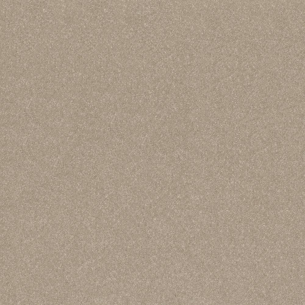 Reviews for Home Decorators Collection House Party II - Sandy Beach - Beige 51.5 oz. Polyester ...