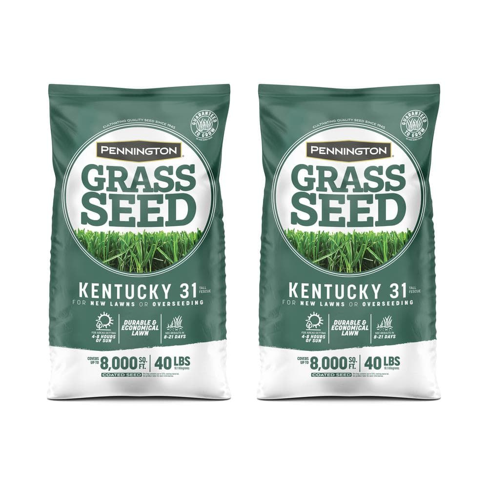 Have a question about Pennington Kentucky 31 Tall Fescue 40 lb. 8,000 ...
