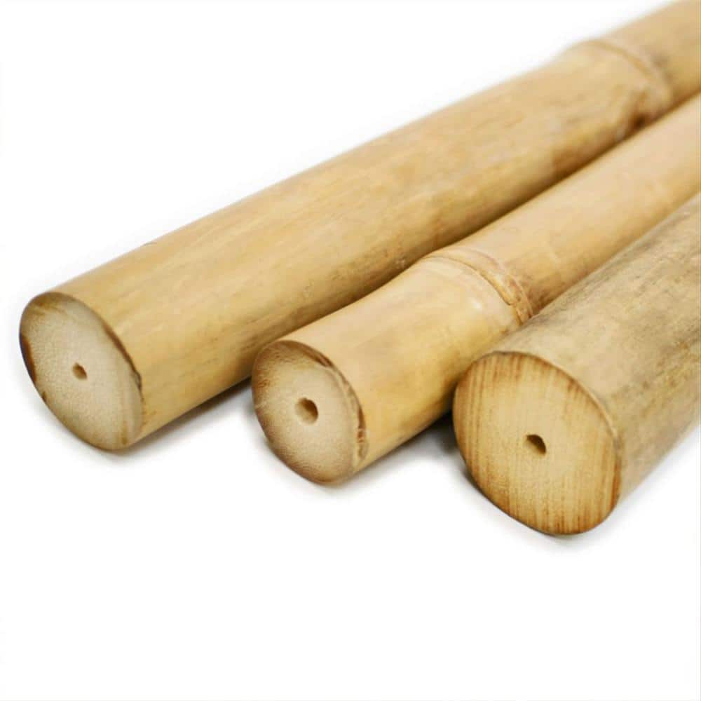 Backyard X-Scapes 72 in. L Solid Bamboo Poles for Structural Design and ...