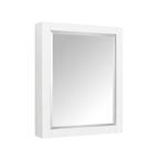 Avanity Modero 28 in. W x 36 in. H x 6-1/4 in. D Framed Surface-Mount 2 ...