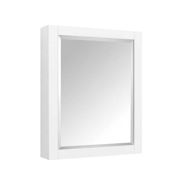 Avanity Modero 28 in. W x 36 in. H x 6-1/4 in. D Framed Surface-Mount 2 ...