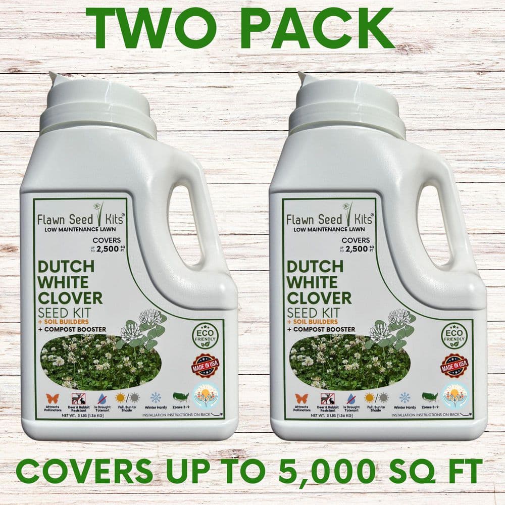 Flawn Seed Kits Dutch White Clover Flower Lawn Seed Kit, Easy Spread ...