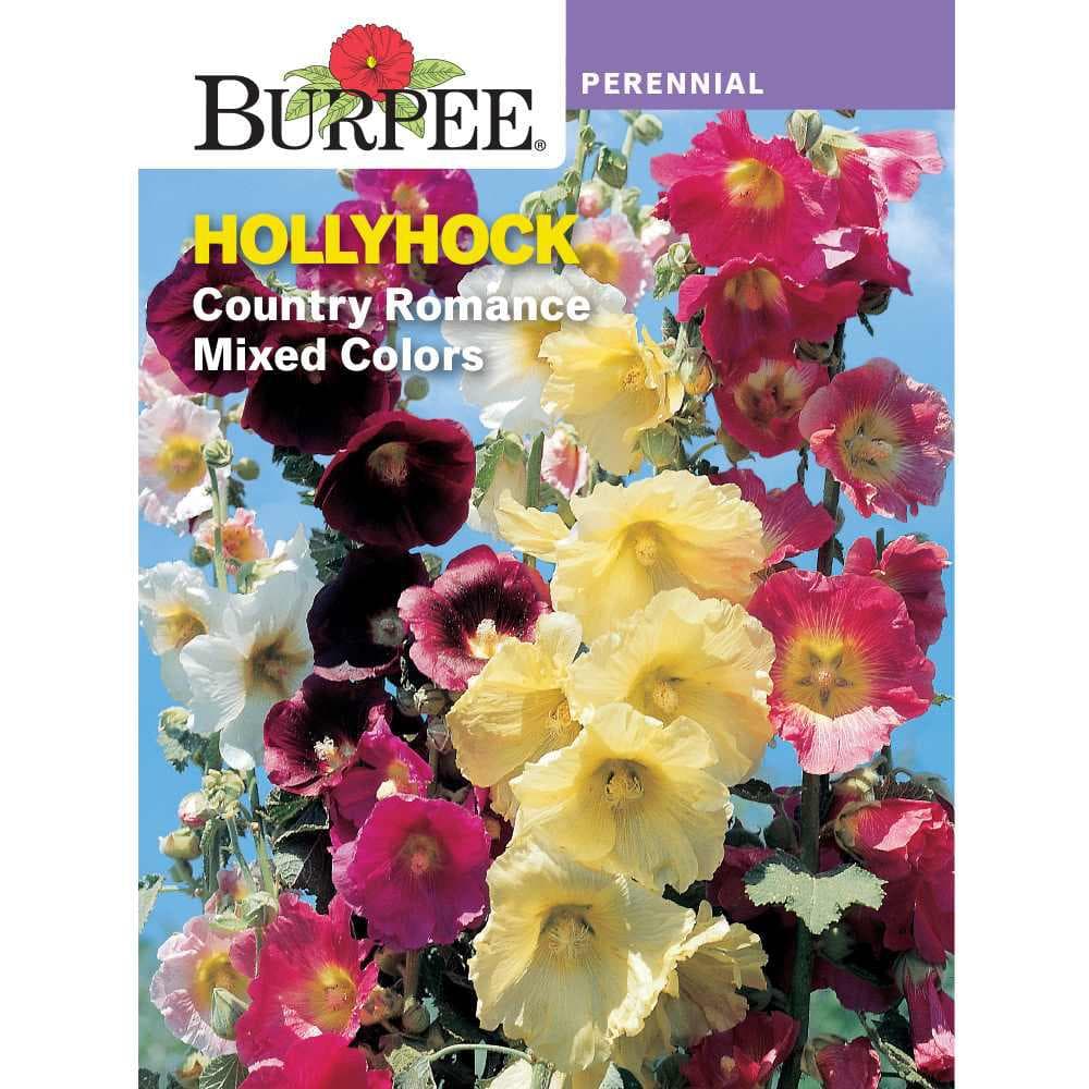 Burpee Hollyhock Country Romance Mixed Colors Heirloom Flower Seed ...