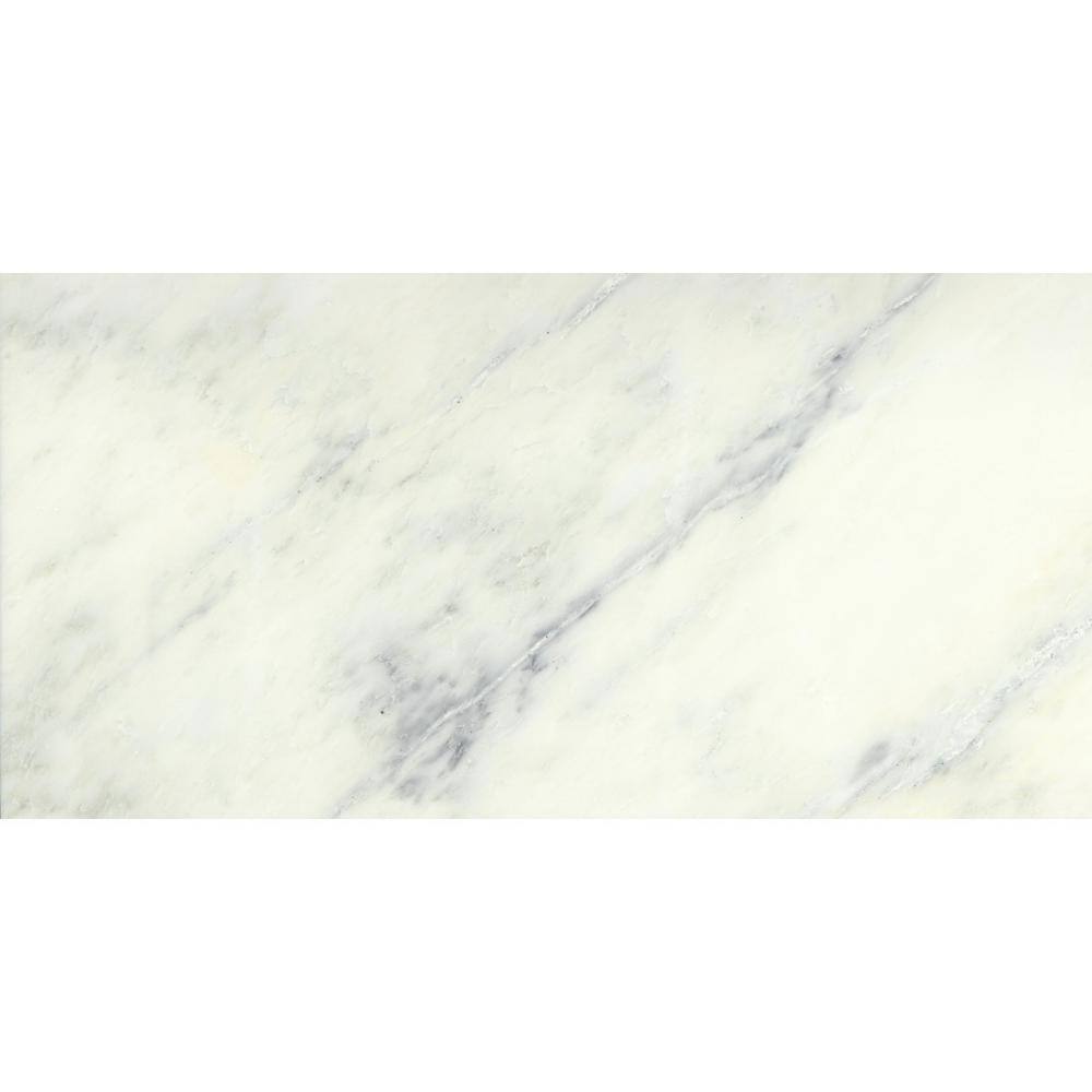 Have a question about EMSER TILE Winter Frost 12.01 in. x 24.02 in ...