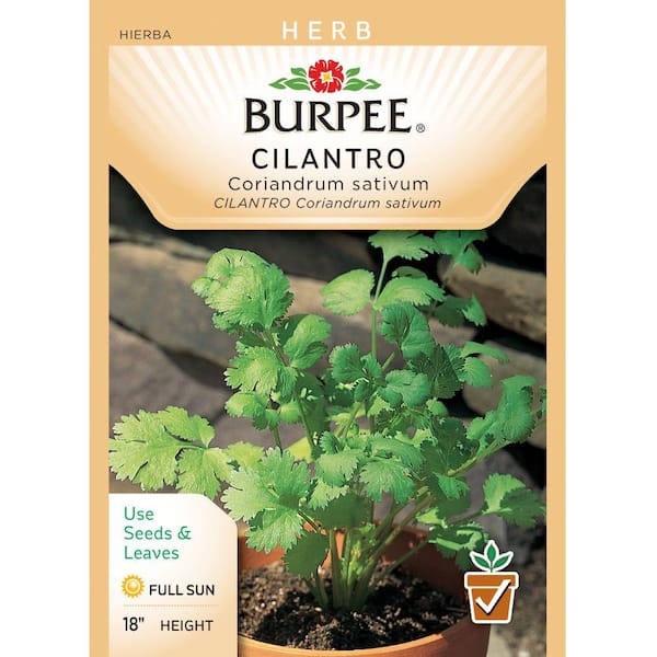 Burpee Cilantro Seed 65839 - The Home Depot