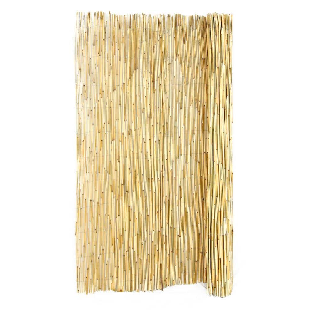 Backyard X-Scapes 6 ft. H x 16 ft. L Bamboo Tan Reed Fencing Panel ...
