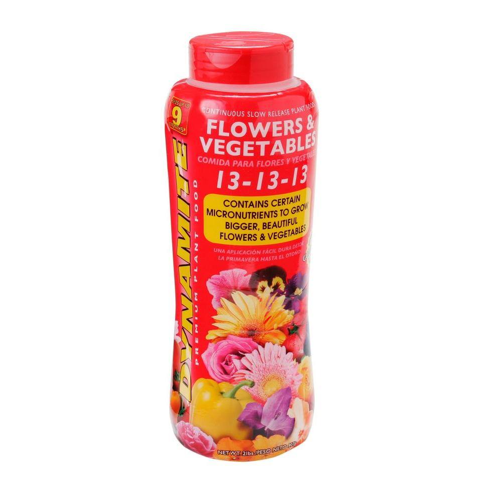 Dynamite 2 lb. Flowers and Vegetables Plant Food 100522308 - The Home Depot