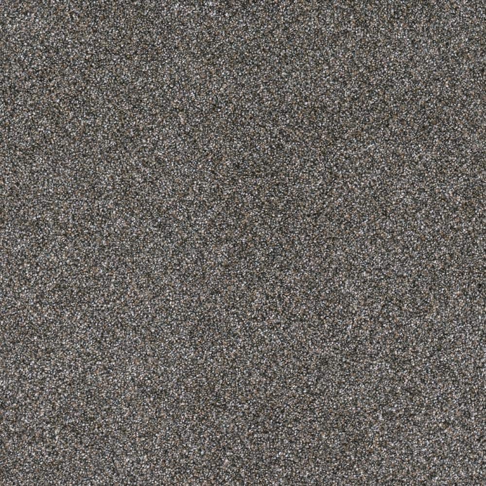 Lifeproof 8 in. x 8 in. Texture Carpet Sample - Hazelton III - Color ...