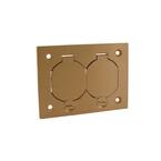RACO 1-Gang Rectangular Floor Box Duplex Brass Cover with Lift Lids ...