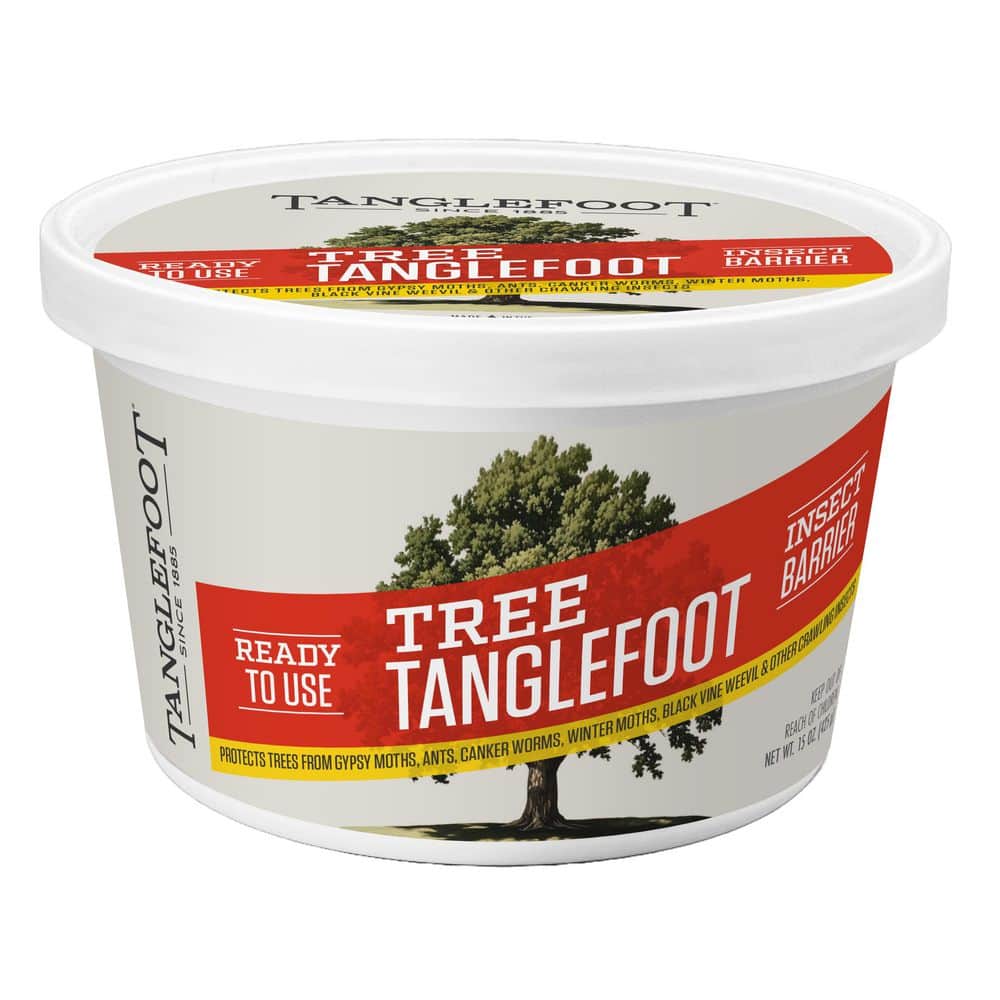 Tanglefoot 15 oz. Tub-Insect Barrier for Gypsy Moths, Cankerworms ...