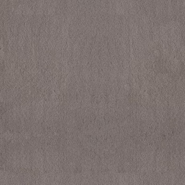 Lifeproof 8 in. x 8 in. Texture Carpet Sample-Dreamy Daze II-Color ...