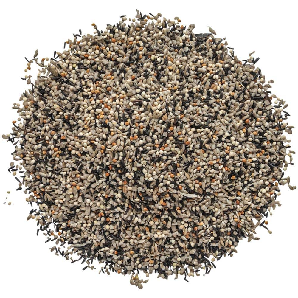 BIRDS choice Finch Feast Wild Bird Food BS-FF - The Home Depot