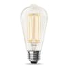 Feit Electric 60-Watt Equivalent ST19 Dimmable Cage Filament Clear ...