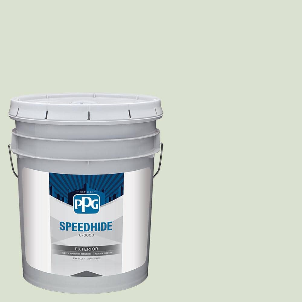 Reviews for SPEEDHIDE 5 gal. Lime Spritz PPG1121-2 Flat Exterior Paint ...