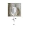 1. 0 GPF Urinal with Siphon Jet Flush Action and Ultima Manual 1.0 GPF ...