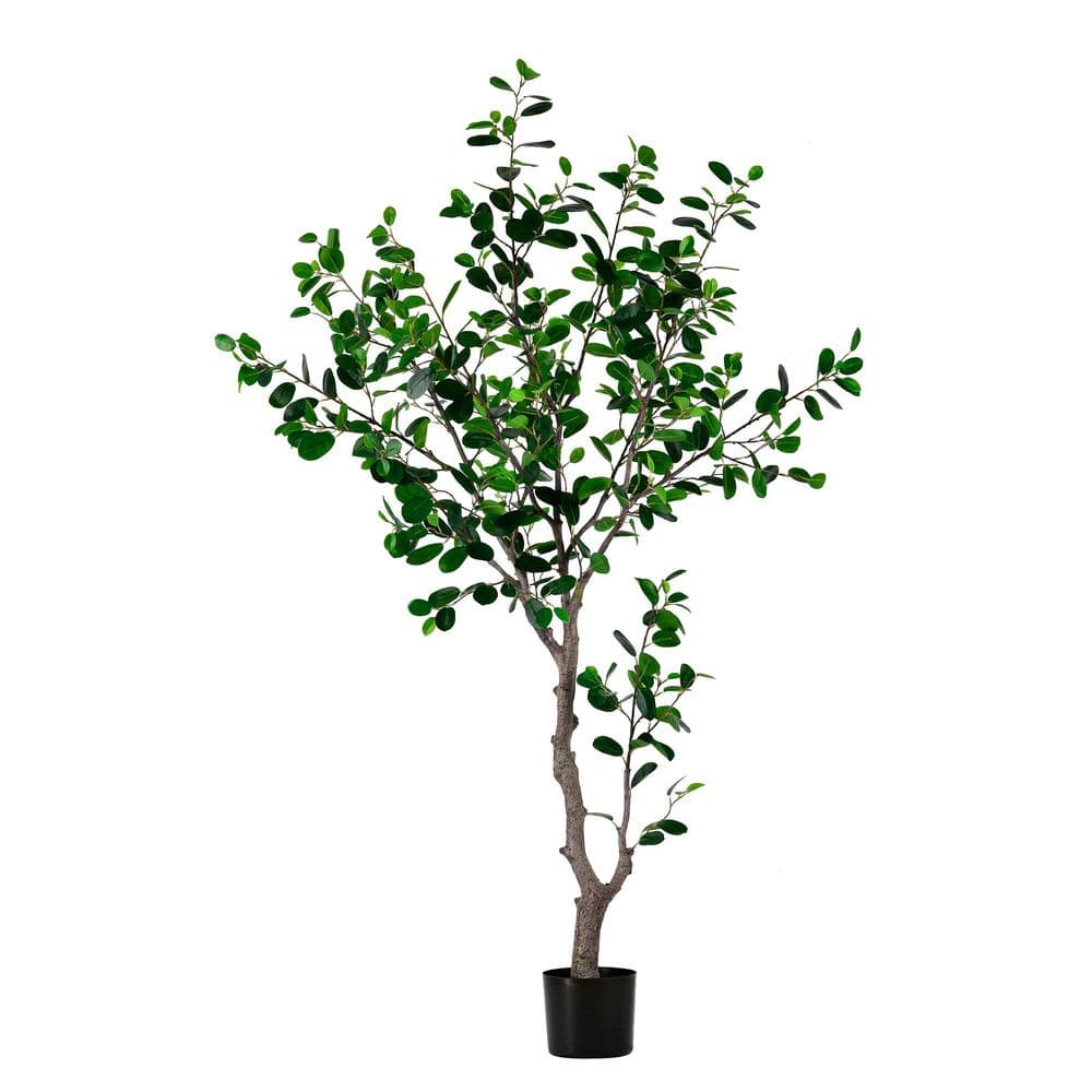 Reviews for Edvivi 5.5 ft. Artificial East Ficus Tree in Black Plastic ...