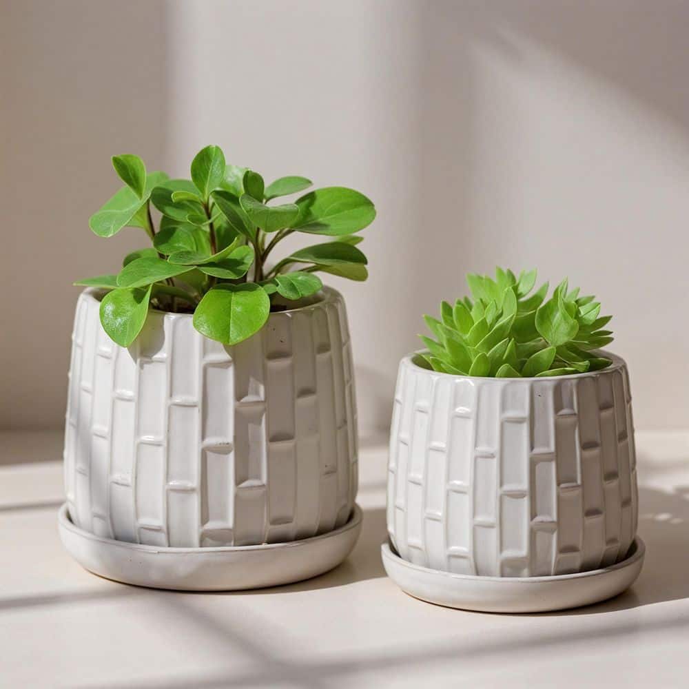 Dovelina White (Set of 2) Mixed Size Outdoor Ceramic Plant Pots Stylish ...