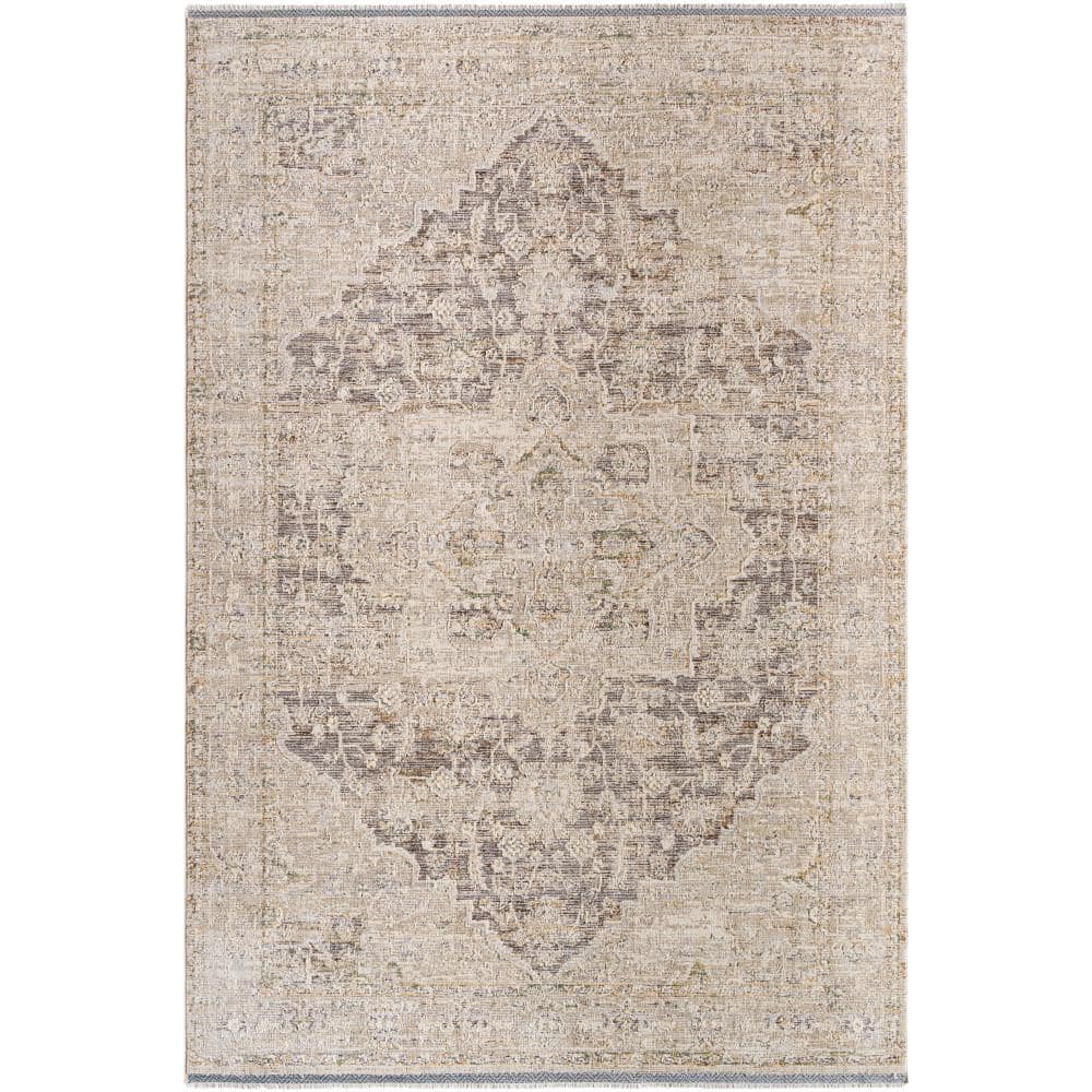 Livabliss Rivaldo Light Doormat 2 ft. x 3 ft. Indoor Area Rug RVD2310 ...