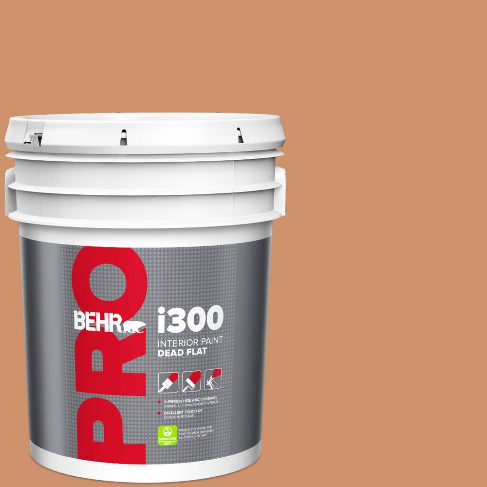 BEHR PRO 5 gal. #MQ4-37 Ferrous Dead Flat Interior Paint PR31305 - The ...