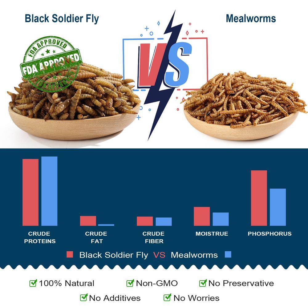 24 lbs. Natural Dried Soldier Fly Larvae for Morocco | Ubuy