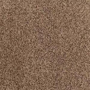 Mohawk 8 in. x 8 in. Texture Carpet Sample-Heartfelt Fashion-Color ...