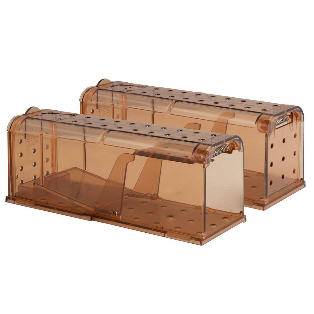 Sunnydaze Catch and Release Humane Mouse Trap - 2-Pack XPT-0322 - The Home Depot