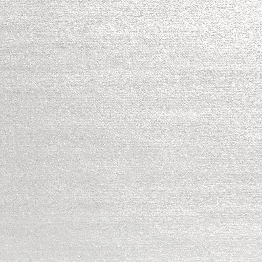 James Hardie Magnolia Home Hardie Soffit HZ5 16 in. x 144 in. Birch ...