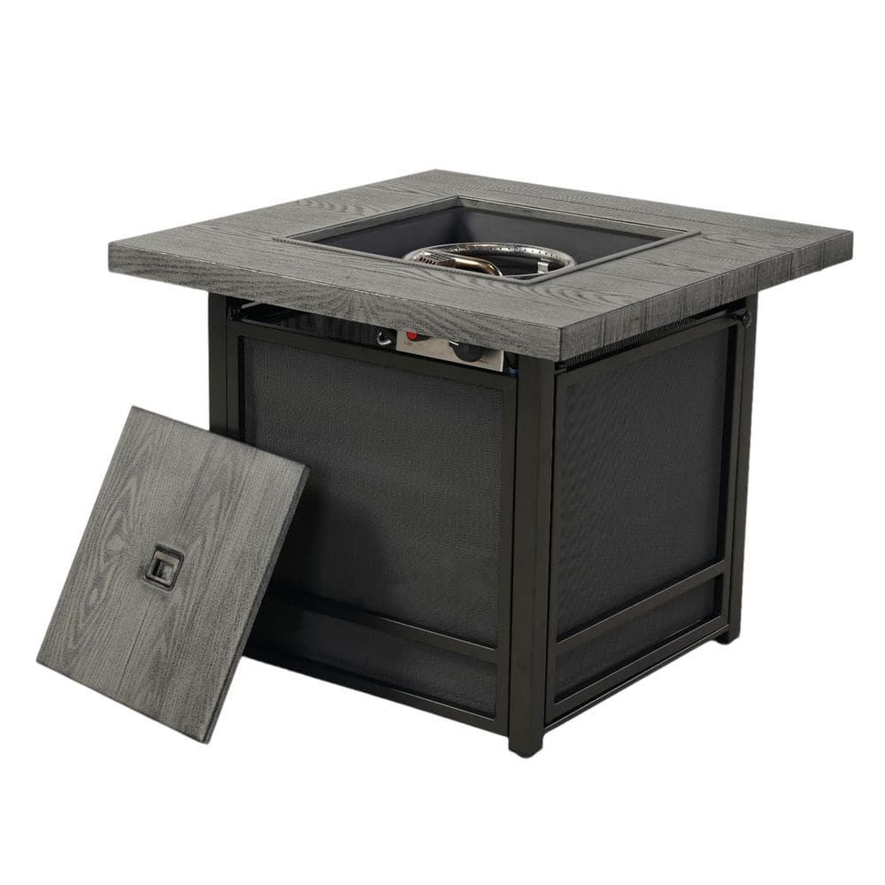 SUNRINX 40,000 BTU 29 in. Metal Propane Integrated-Ignition Gas Fire ...