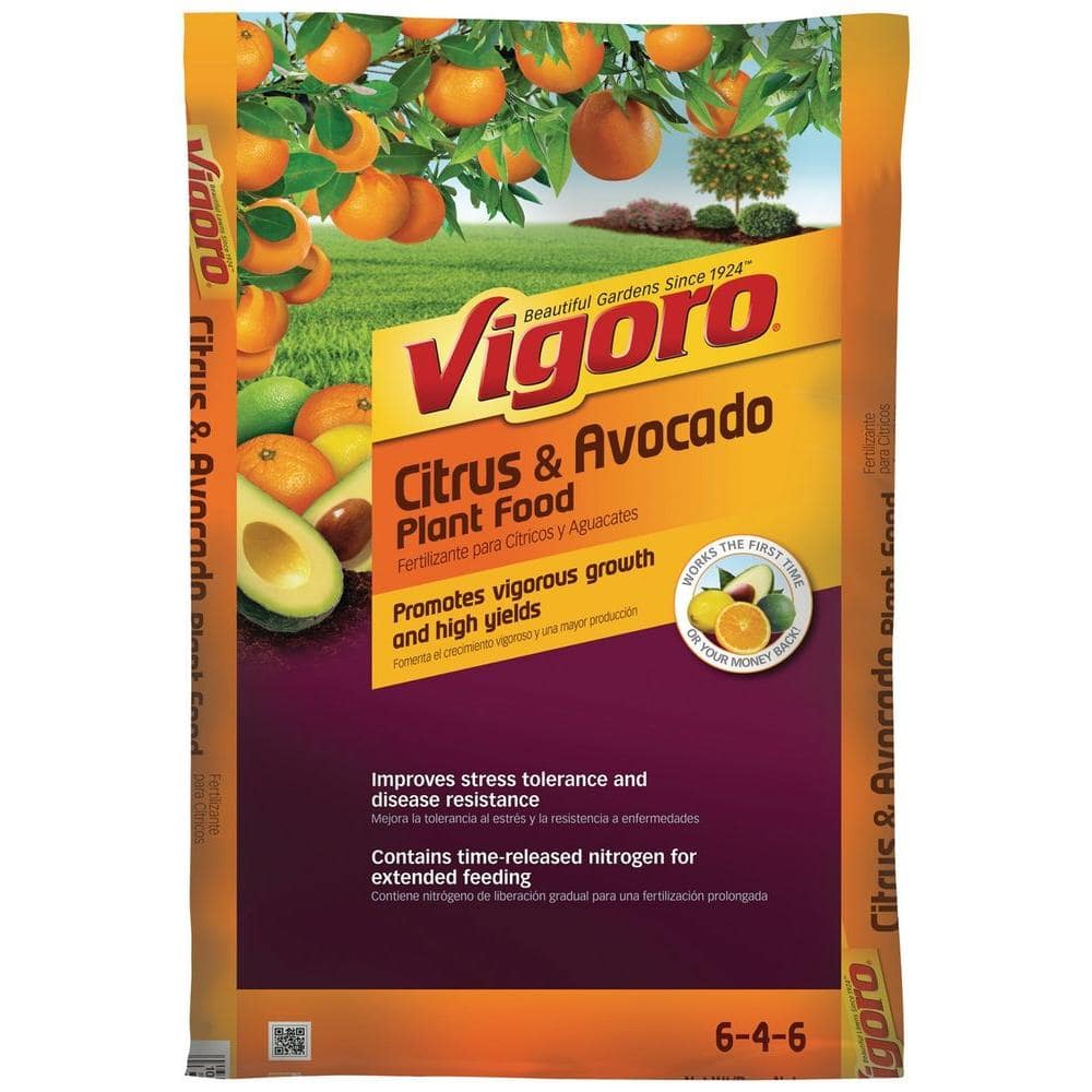 Vigoro 20 lbs. All Season Citrus and Avocado Plant Food Dry Fertilizer ...