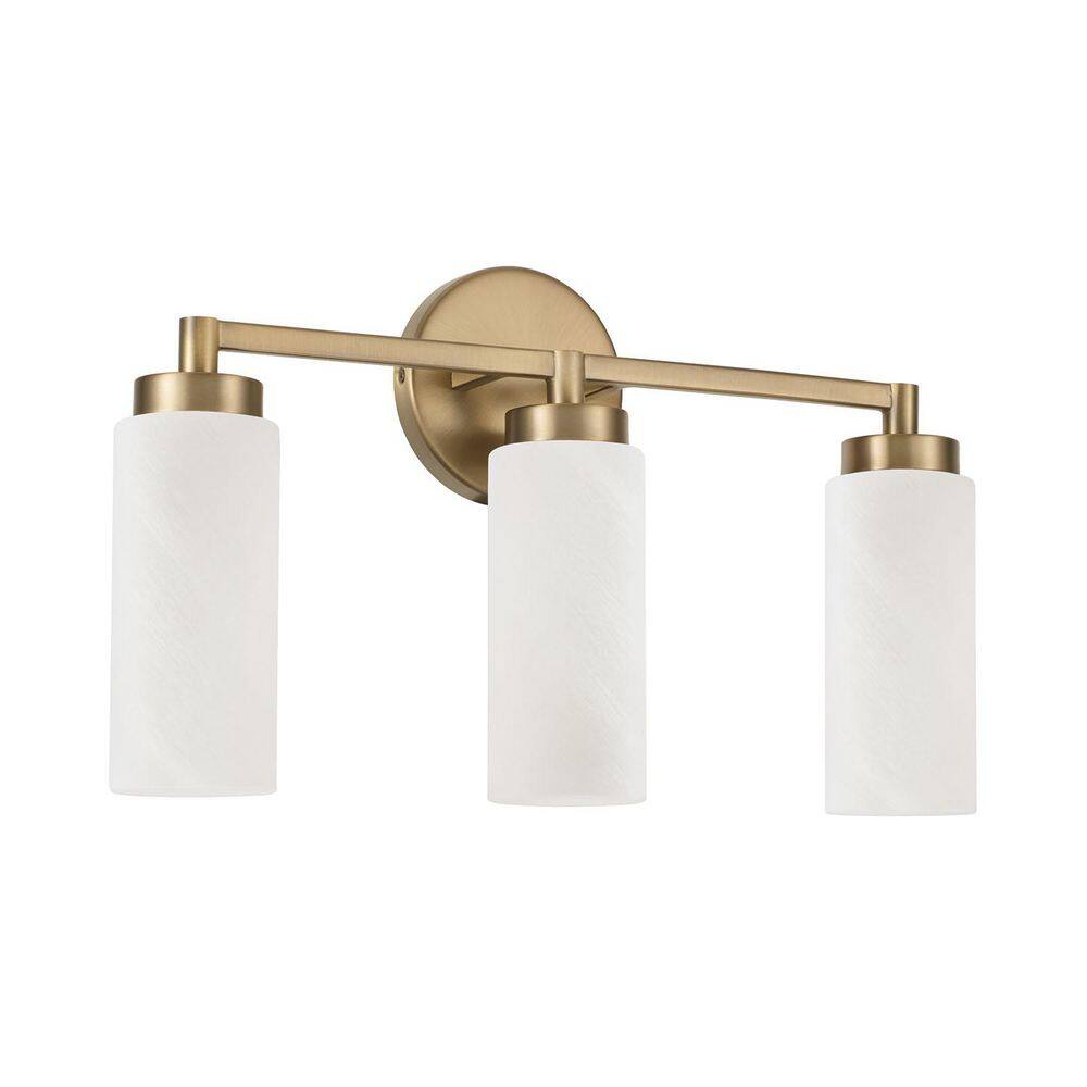 Capital Lighting Fixture Company Alyssa 19 in. W x 11.50 in. H 3-Light ...
