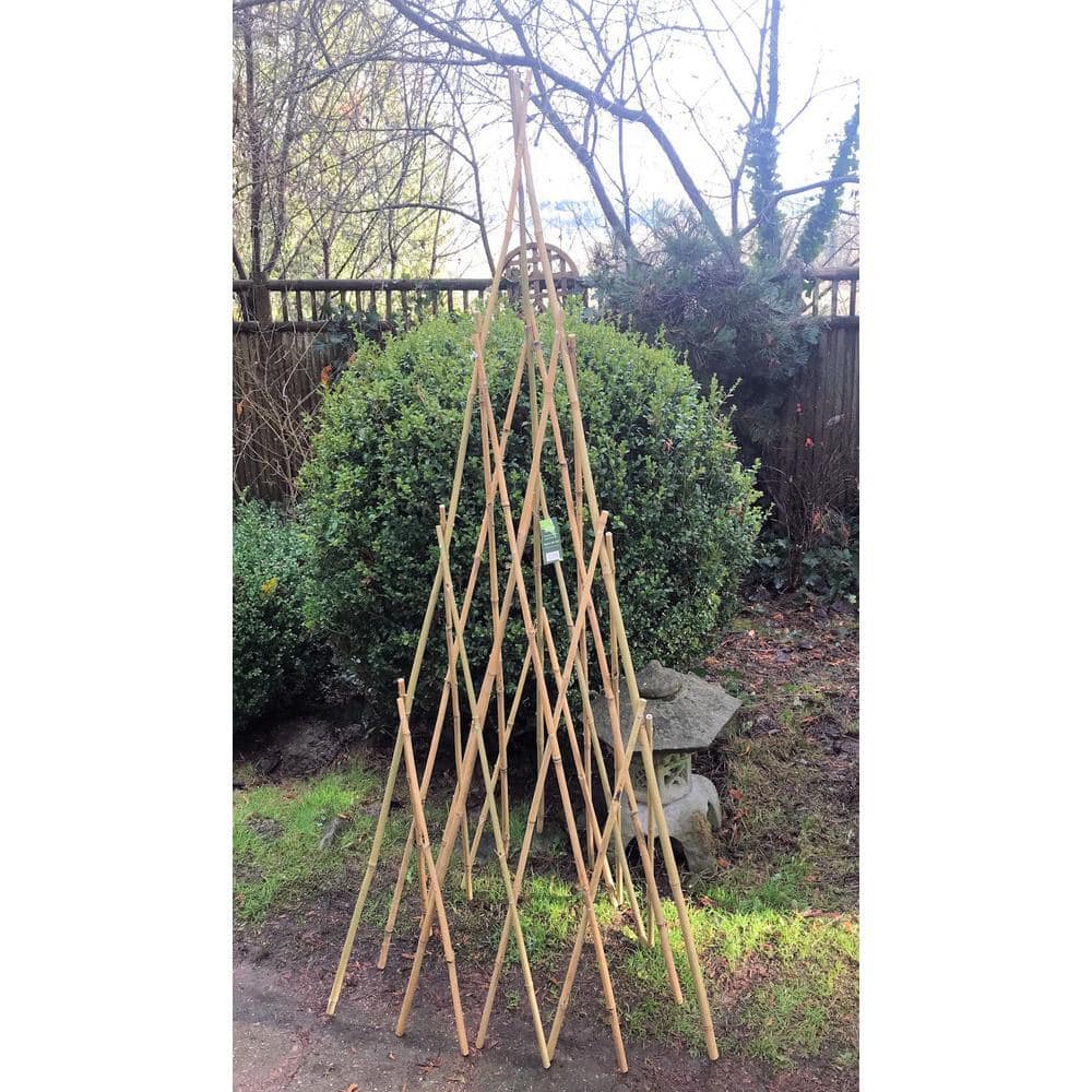 72 in. H Bamboo Teepee Trellis BT-72 - The Home Depot