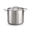 Tramontina Gourmet 12 qt. Stainless Steel Stock Pot with Lid 80120 ...