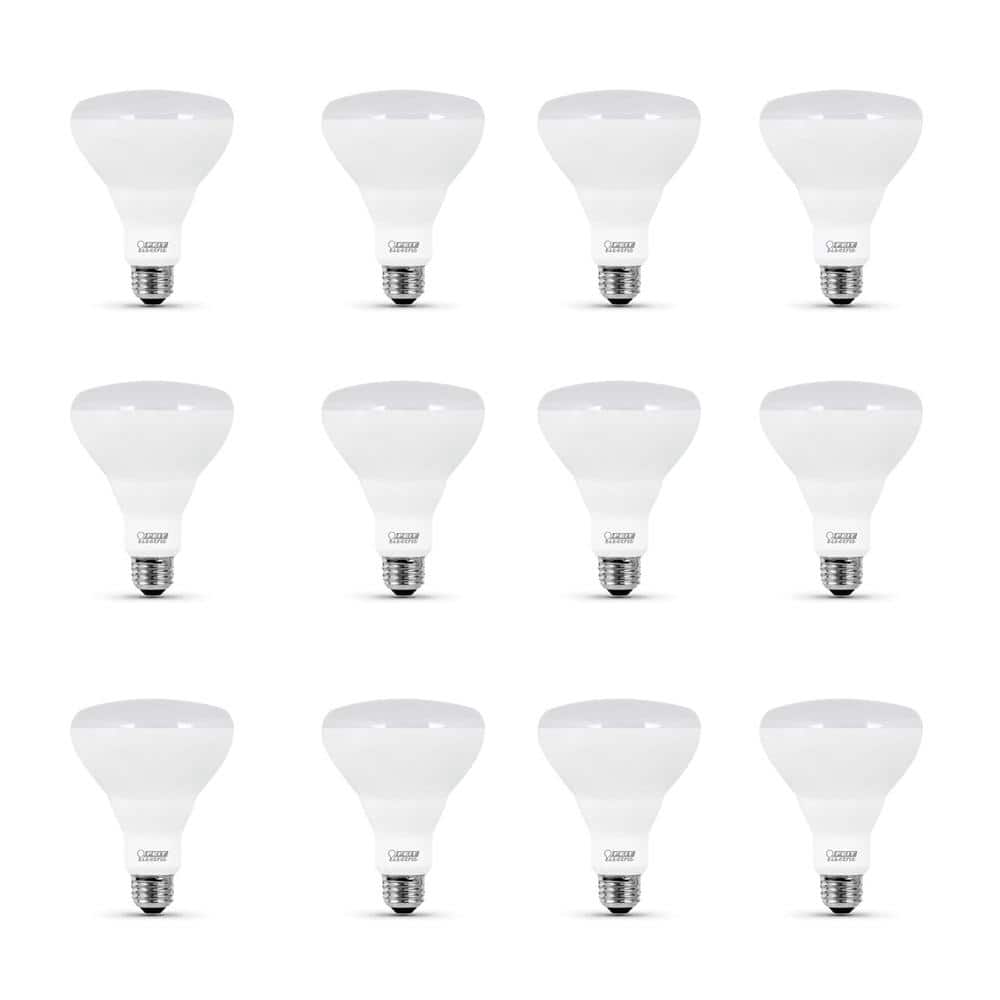 Reviews for Feit Electric 85-Watt Equivalent BR30 Dimmable CEC Title 20 ...