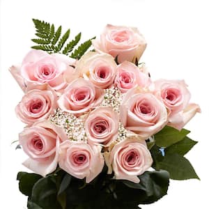 Globalrose 1-Dozen Hot Pink Roses- Fresh Flower Delivery 1850500096350 ...