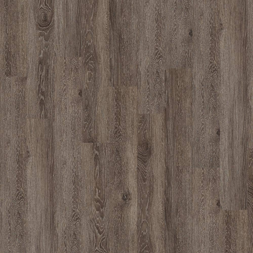 Shaw Take Home Sample - Inspiration 12mil Meadowland- Stock Resilient ...