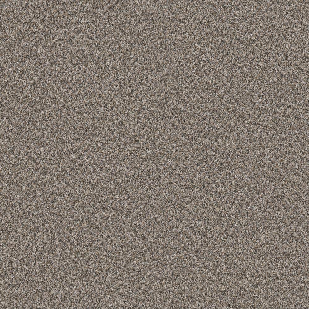 Home Decorators Collection 8 in. x 8 in. Texture Carpet Sample - Piece of Cake - Color Wild ...